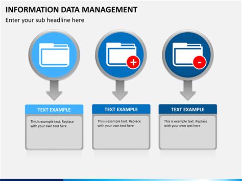 Information Data Management PowerPoint And Google Slides Template PPT Slides