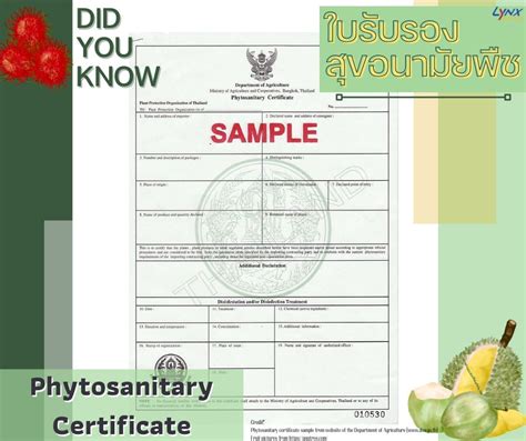 Phytosanitary Certificate หรือ ใบรับรองสุขอนามัยพืช เป็นเอกสารที่ยืนยันว่าสินค้าที่เป็นพืชหรือมี