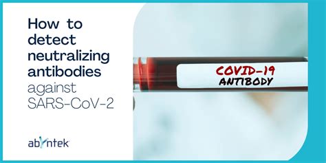 How To Detect Neutralizing Antibodies Against Sars Cov 2 Abyntek
