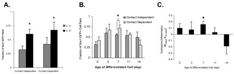 Cell Cell Interaction Modulates Neuroectodermal Specification Of