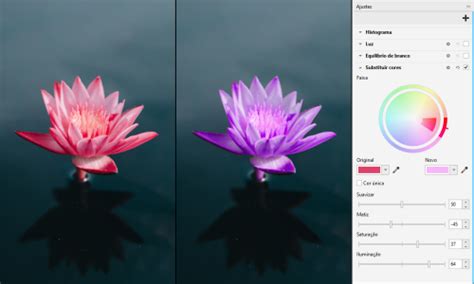 CorelDRAW Ajuda CorelDRAW Graphics Suite 2021