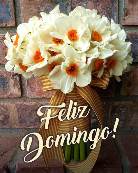 Top Imágenes De Feliz Domingo Únicas Y Especiales Imágenes Cool