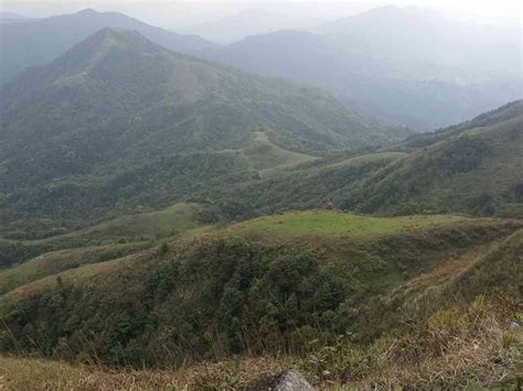 2020年3月22日徒步 罗定八排山赏云锦杜鹃 旅游户外 新三水网站 新三水人才网 新三水房产网 10万 三水人和你一起看