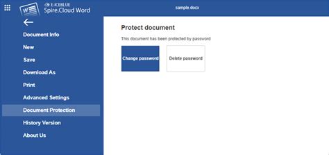 How To Protect A Word Document Online