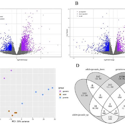 Cluster Analysis Of Mfuzz Transcriptome Expression Pattern Trend