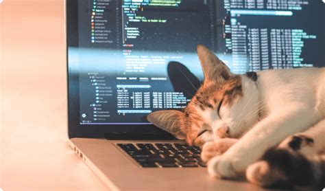 Online Vs Take Home Coding Tests Pros And Cons Codeaid