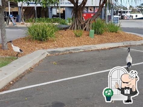 The Deck On Parkyn Mooloolaba Restaurant Menu Prices And Reviews