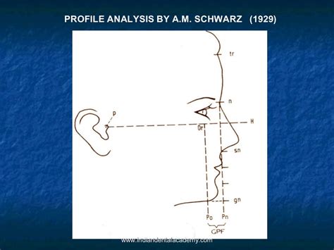 Soft Tissue Cephalometric Analysis Certified Fixed Orthodontic Cours