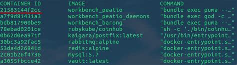 ArgumentError In WelcomeController Index On MACOS Issue 34