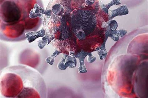 Adoptive Immunotherapy A Breakthrough Patented Cancer Treatment Technique