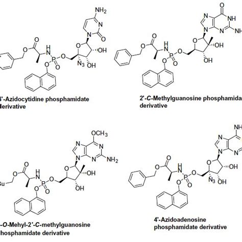 6 Structures Of Some Phosphoramidate Analogues For Sugar Modified Nis