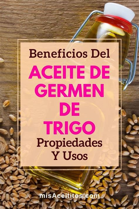Aceite De Germen De Trigo Beneficios Propiedades Y Usos Trigo