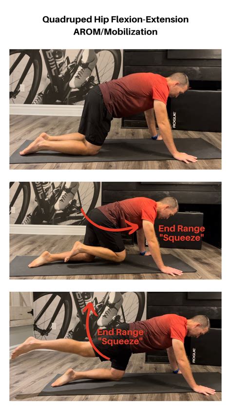 Exercises For Hip Mobility My Rehab Connection
