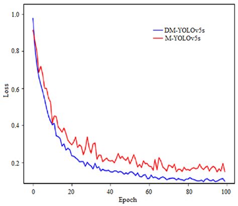 A Lightweight Yolov5 Based Model With Feature Fusion And Dilation Convolution For Image Segmentation