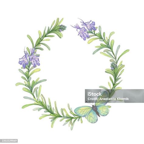 나비와 함께 피는 로즈마리 가지의 수채화 화환 화장품 포장 비누 크림 양초 인사말 카드 및 천연 제품 브랜딩에 완벽한 구성 0명에 대한 스톡 벡터 아트 및 기타 이미지