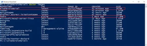 asp core docker compose implementando soluções web multi