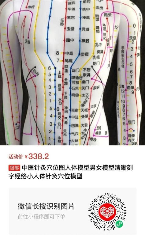 身体器官分布图，陪你掌握五脏六腑 知乎