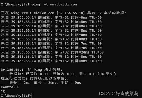 ping命令详解 ping ipv6 csdn博客