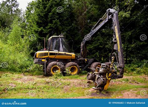 Pine Forest Harvesting Machine At Work During Clearing Of A Plantation