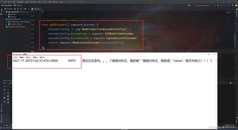 Zap日志的基本使用（go必会知识） Csdn博客