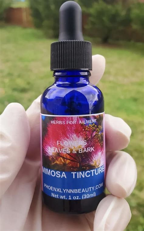 Could You Extract Dmt Using Mimosa Tincture R Dmt