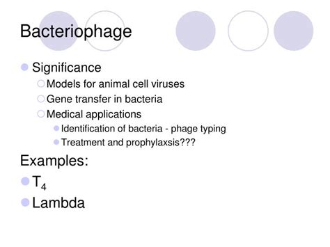 Ppt Bacteriophage Isolation Powerpoint Presentation Id2176112