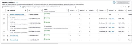 Run High Availability Long Running Clusters With Amazon Emr Instance