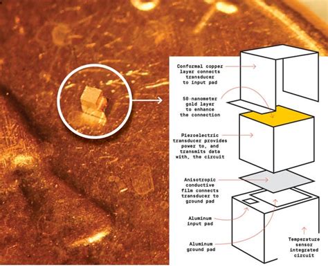 Worlds Smallest Implantable Chip Human Microchip Faq