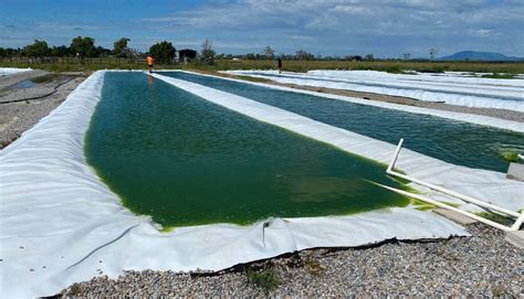 Solution To Methane Reduction With Improved Performance And Quality The Land NSW