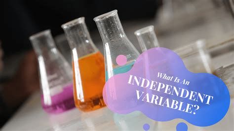 What Is An Independent Variable In An Experiment What Are The Major Differences Between