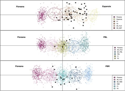 Scatterplot Of The First Two Principal Components Of Dapc Showing Scatterplot Of The First Two Principal Components Of Dapc Showing