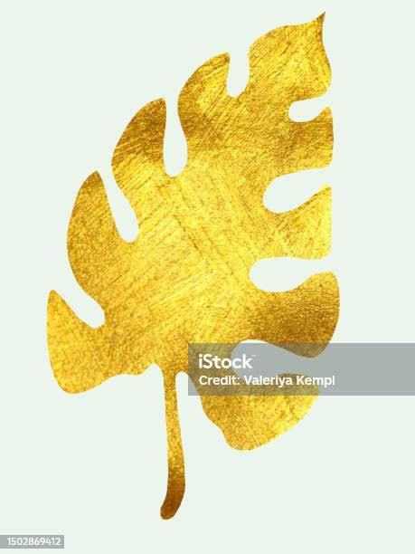 고립된 흰색 배경에 황금빛 열대 나뭇잎의 그림 수채화 그림 0명에 대한 스톡 벡터 아트 및 기타 이미지 0명 고립 색상 그래픽 프린트 Istock