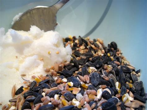 How To Make A Bird Feeder