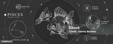 점성술 물고기자리 조디악 기호현대 마법 마술 카드 사실적인 손 그리기 잉어 피쉬 일러스트 조디악 특성 고풍스런에 대한 스톡 벡터 아트 및 기타 이미지 Istock