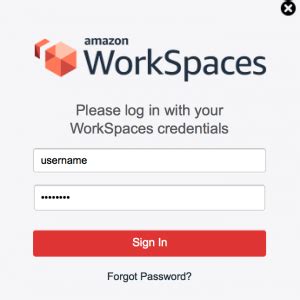 How To Enable Self Service Amazon WorkSpaces By Using AWS Service