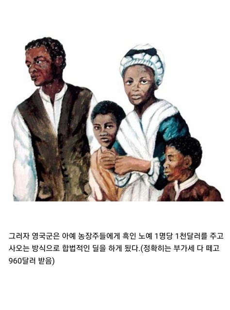 미국 독립전쟁 당시 영국 총독이 흑인 노예들과 했던 약속 미스터리 공포 에펨코리아