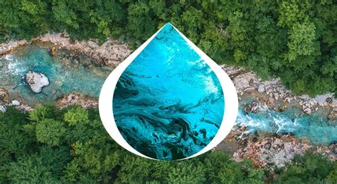 Голууд Цахим хичээлүүд Mn Mozaik цахим боловсрол ба сургалт