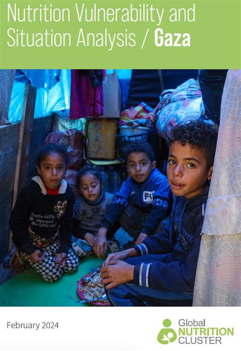 Nutrition Vulnerability And Situation Analysis Gaza Global Nutrition Cluster