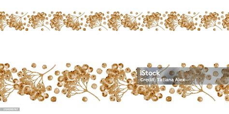 마가목 나무의 열매 수채화 완벽 한 테두리입니다 인사말 카드 초대장 및 실내 장식을 위한 손으로 그린 예술 모노크롬 패턴입니다 세피아 수채화 그림입니다 0명에 대한 스톡