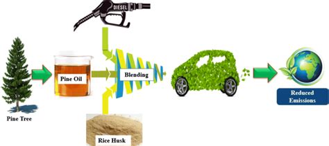 Schematic Representation Of Experimental Methodology Download Scientific Diagram