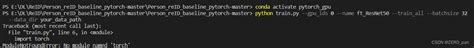 vscode命令行环境设置 visual terminal 不要ps csdn博客
