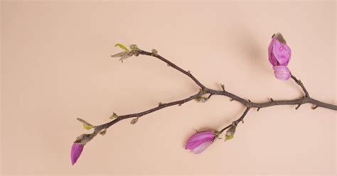 Branch From A Previous Commit Using Git