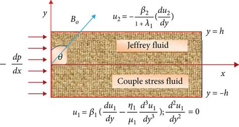 A Schematic Representation Of The Flow Of Two Immiscible Fluids Download Scientific Diagram