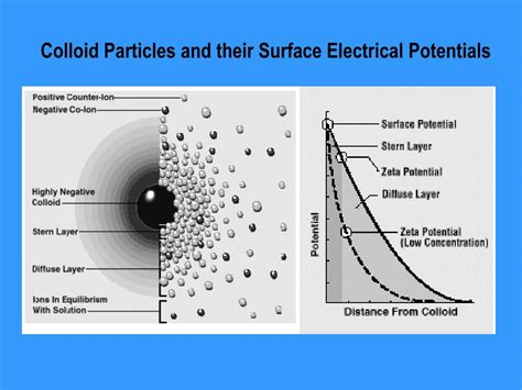 Ppt Microbial Survival In The Environment With Special Attention To Enteric And Respiratory