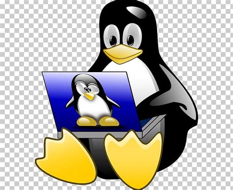 Laptop Linux Startup Process Tux Operating Systems PNG Clipart Bird Computer Software