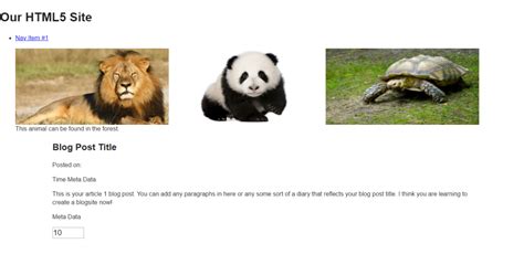 Html Form Input Type Beginners Guide For Web Developers