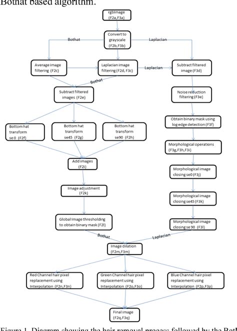 Figure 1 From Hair Removal On Dermoscopy Images Semantic Scholar