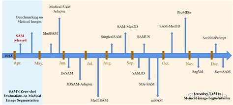 分割一切模型sam在医学图像分割中的应用｜ 2023 annual review of segment anything model for