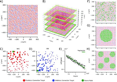 Topological Properties Of The Simulated Neuronal Networks A Neurons