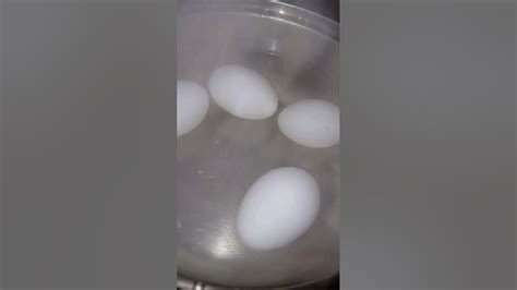 Sardian Or Garama Garm Aandywintervibes Gramandytrendingshorts